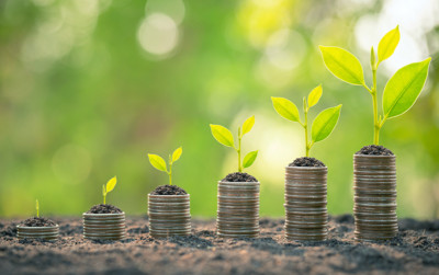 Blog - Wealth Creation Insurance